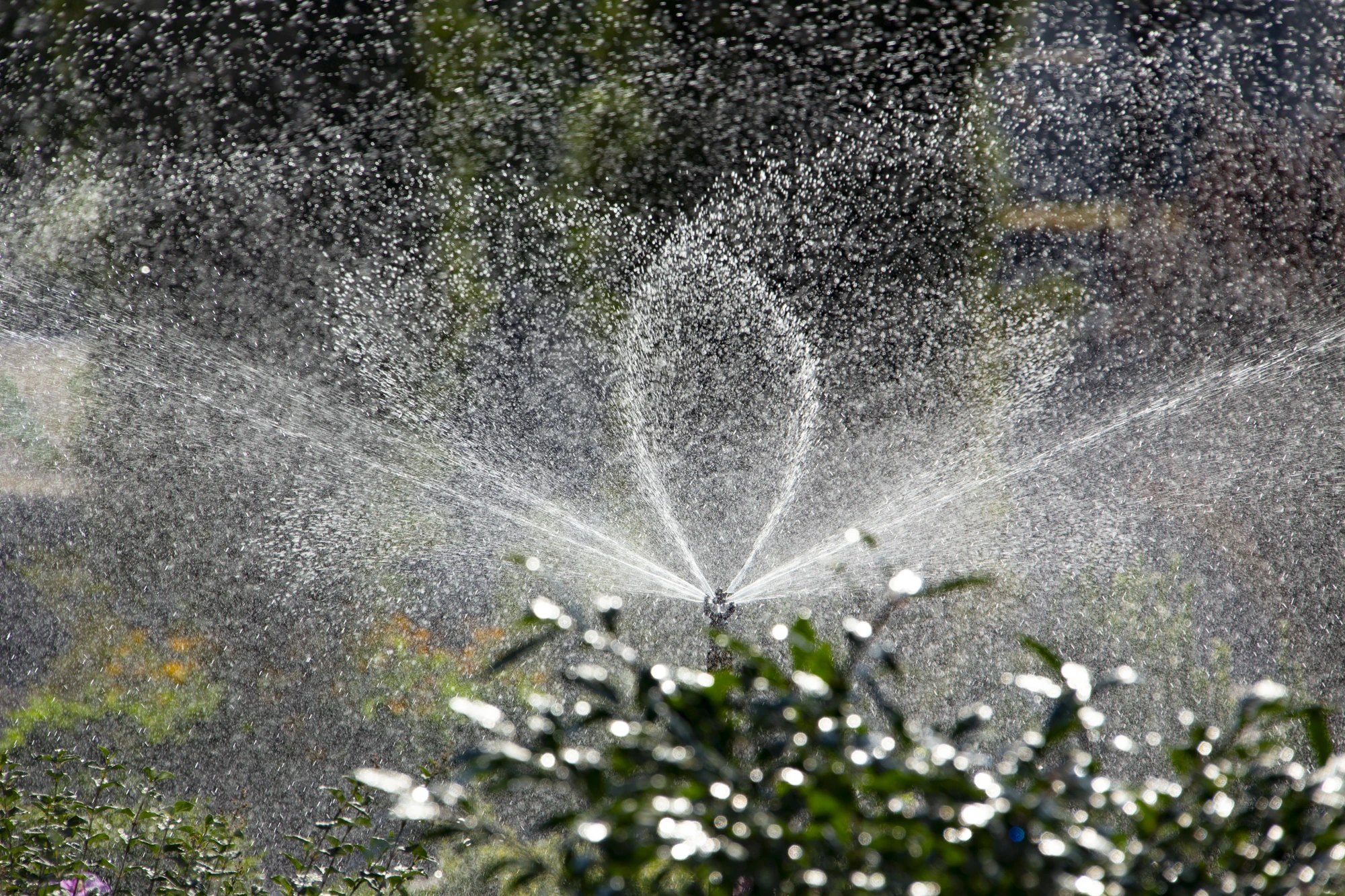 MS10 Rotator from Nelson Irrigation
