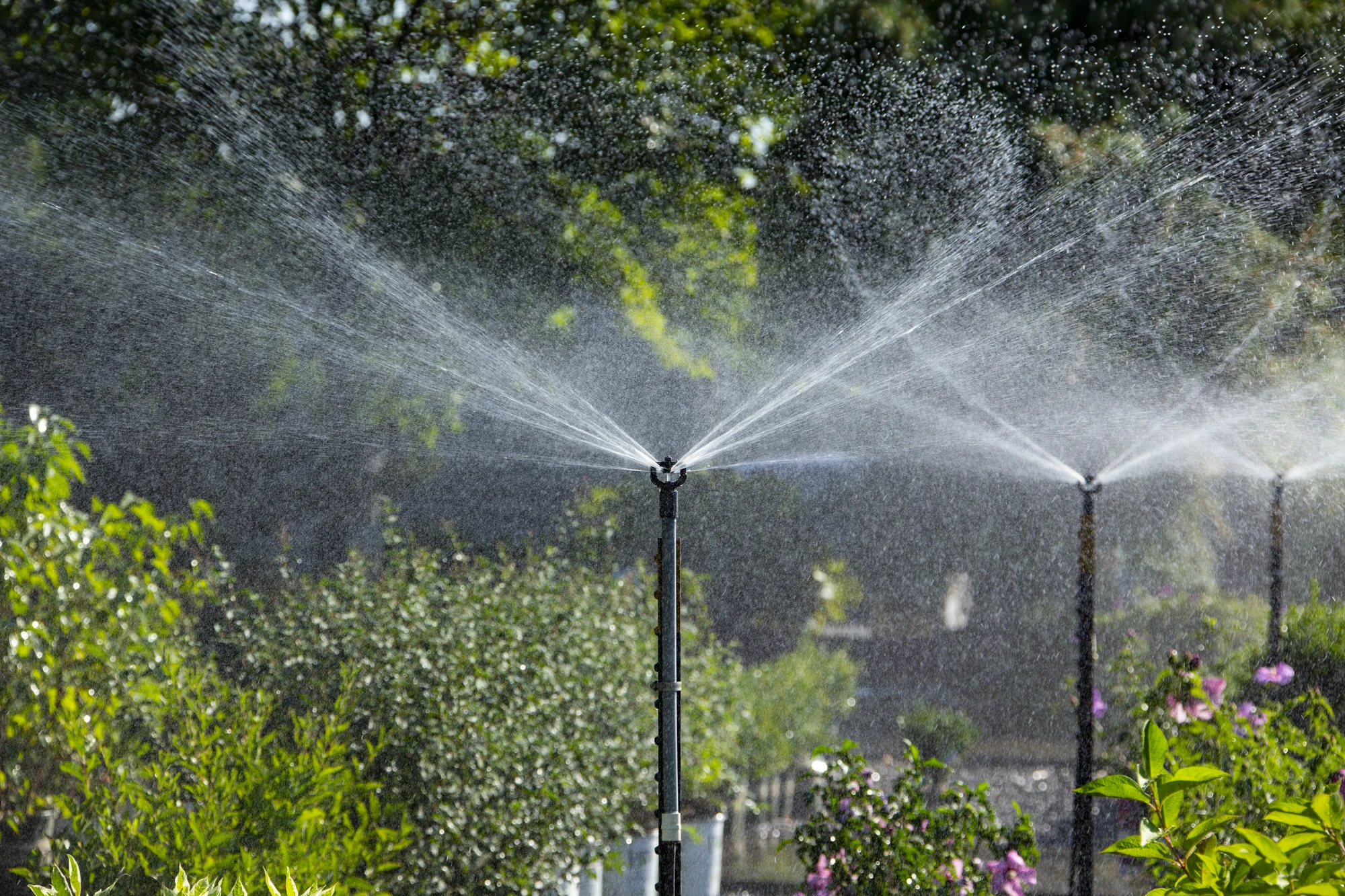 MS10 Rotator from Nelson Irrigation