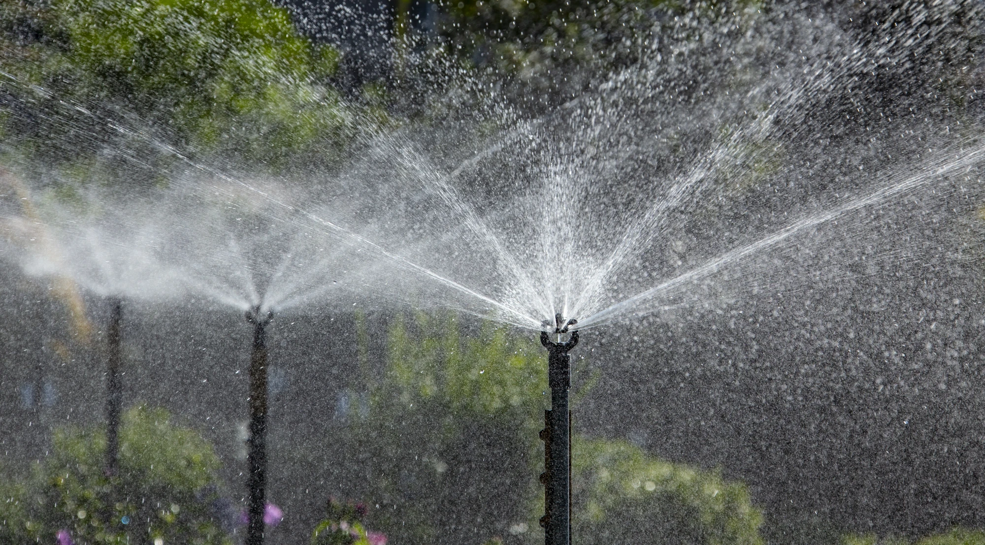 MS10 Rotator from Nelson Irrigation