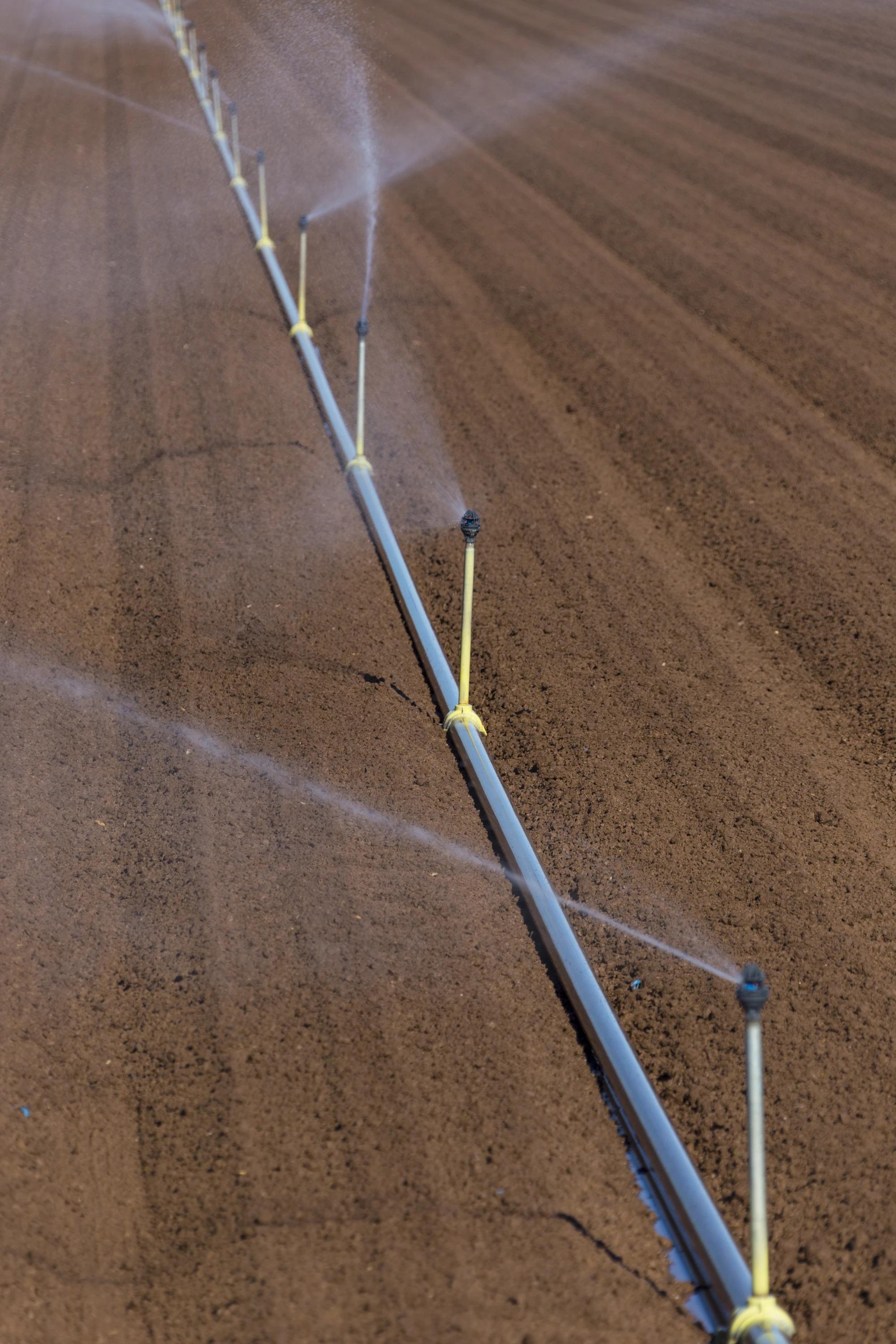 R2000WF/R2000LP Rotator® from Nelson Irrigation