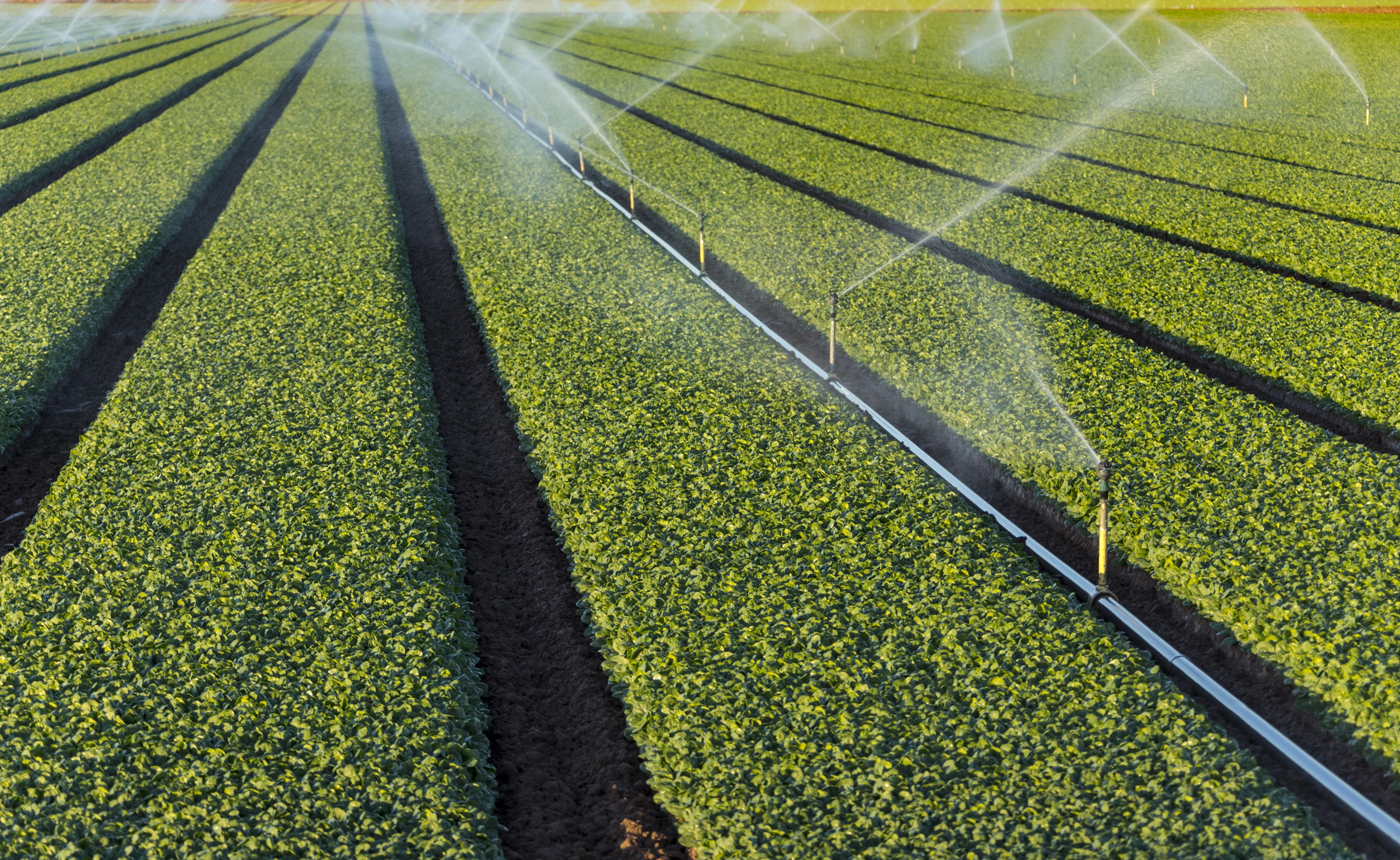 R2000WF/R2000LP Rotator® from Nelson Irrigation