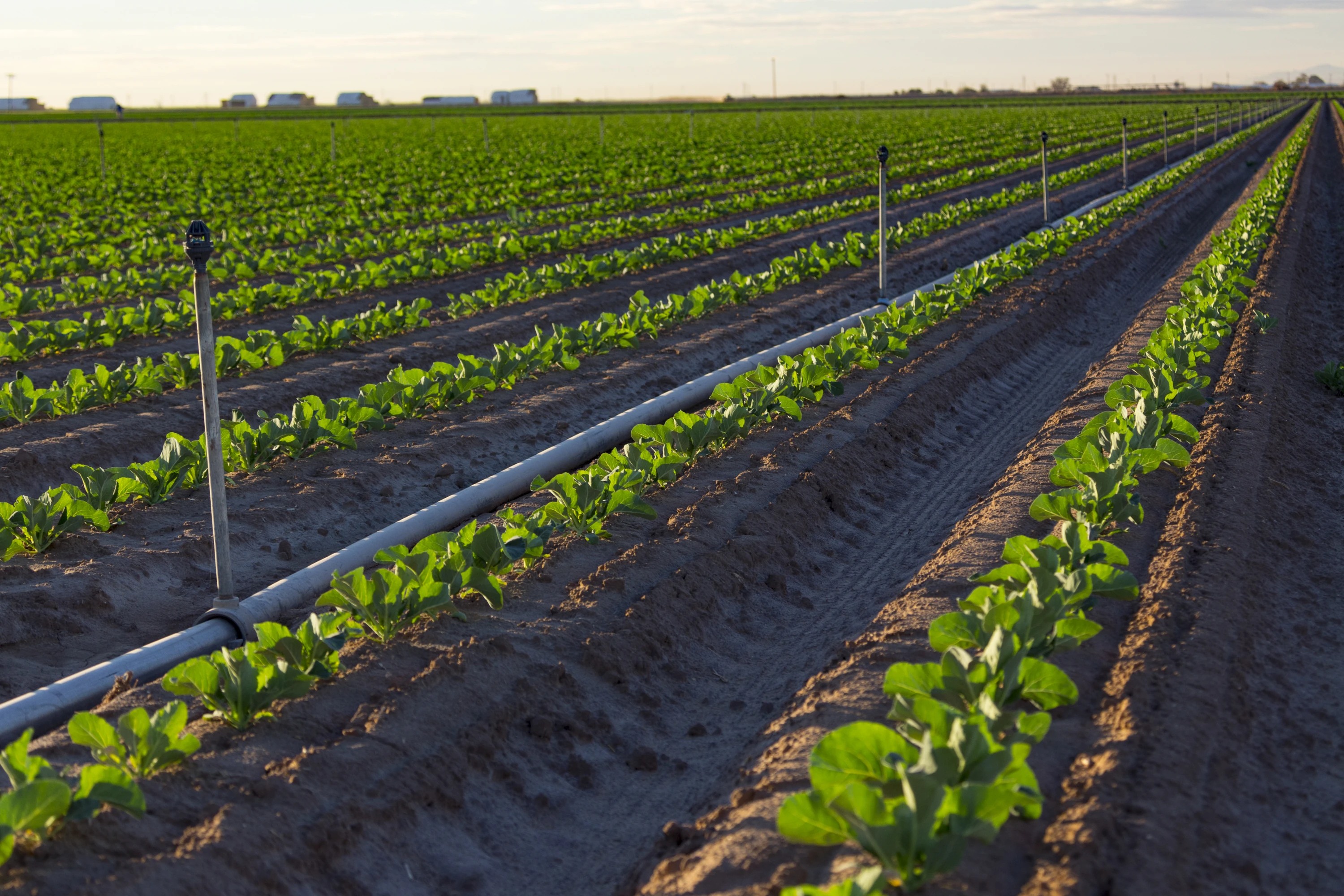 R2000WF/R2000LP Rotator® from Nelson Irrigation