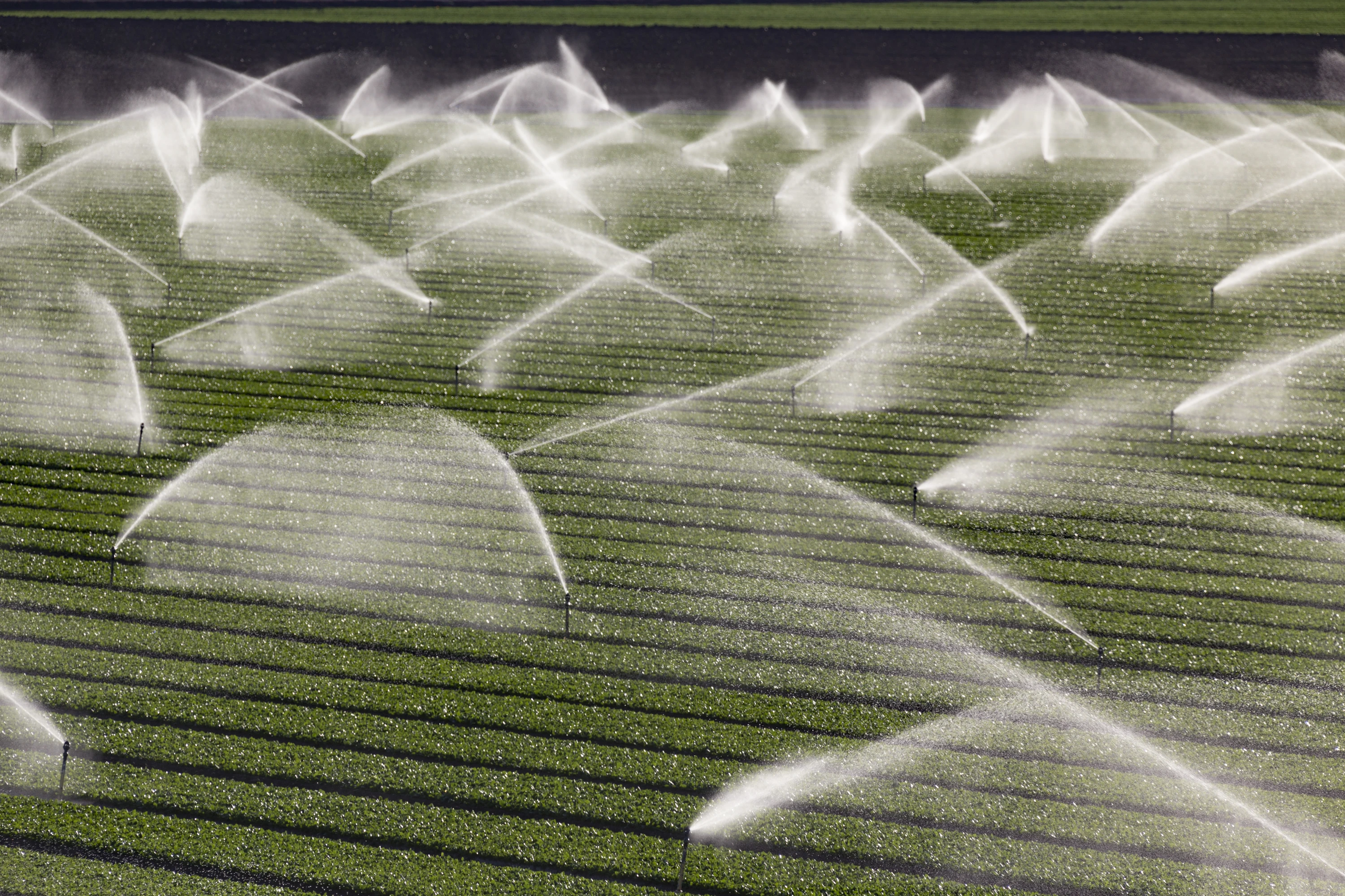 R2000WF/R2000LP Rotator® from Nelson Irrigation