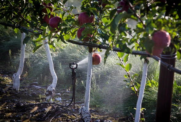 Full Coverage from Nelson Irrigation